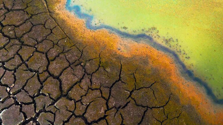 Clear As Mud: 5 Common Methods For Contaminated Soil Testing | Portable ...